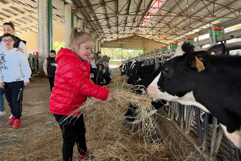 Una experiencia única en la Granja Lacturale, Lactuvisitas - Family Lovers